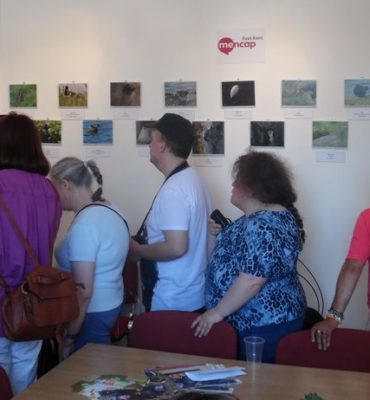 East Kent Mencap – Providing opportunities and choices in East Kent for ...